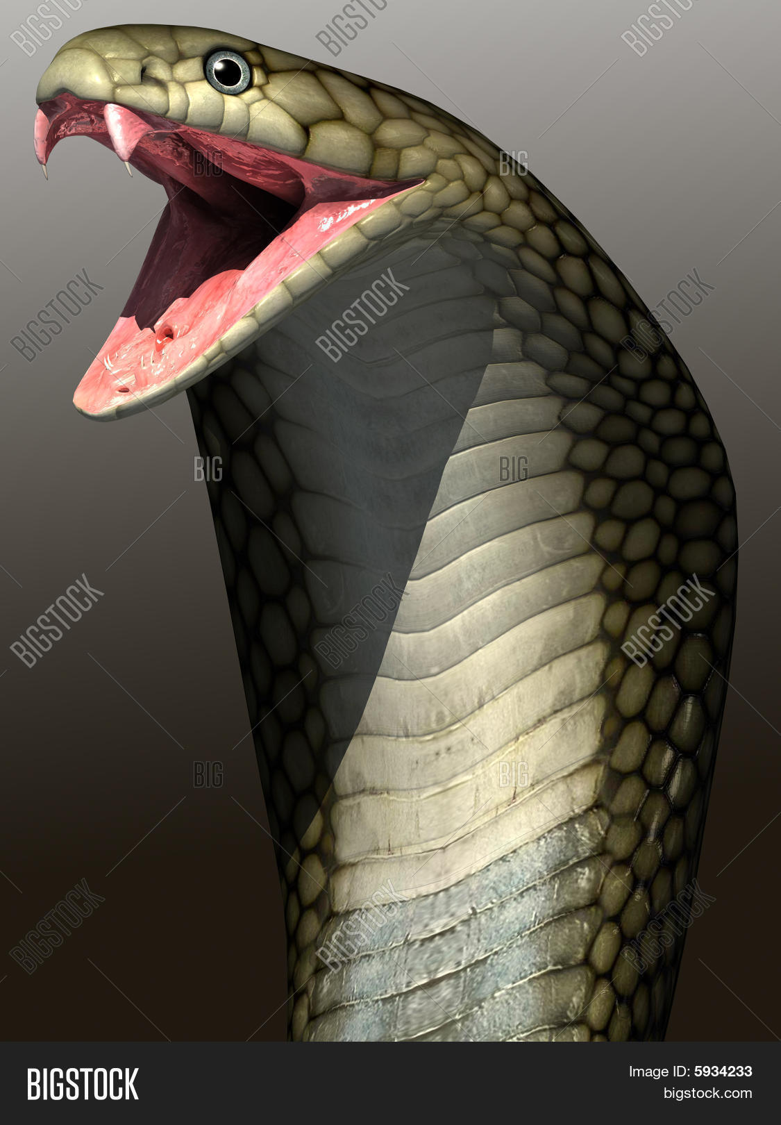 Cool 3D Cobra Hissing Image & Photo (Free Trial) | Bigstock