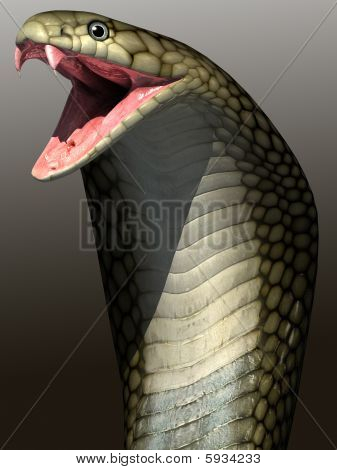 Cool 3D Cobra Hissing Image & Photo (Free Trial) | Bigstock