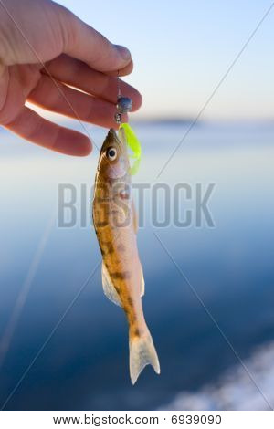 Very-very Small Image & Photo (Free Trial) | Bigstock