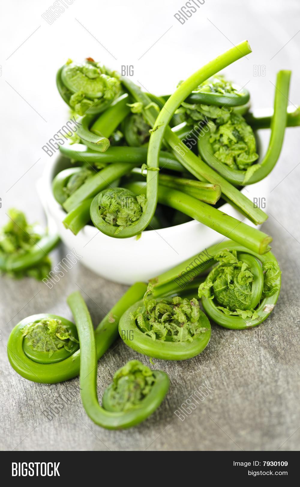 Fiddleheads Image & Photo (Free Trial) | Bigstock