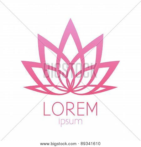 Beautiful Pink Lotus Vector & Photo (Free Trial) | Bigstock