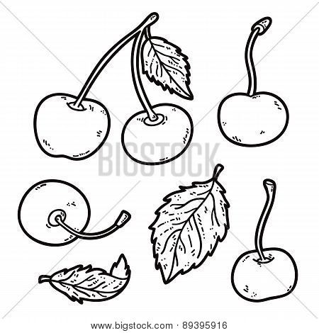 Cherry Outlines Vector & Photo (Free Trial) | Bigstock