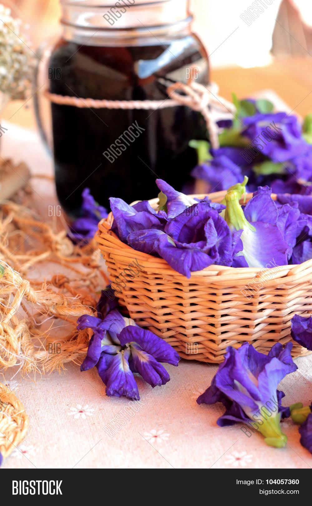 Anchan Flowering Water Image & Photo (Free Trial) | Bigstock