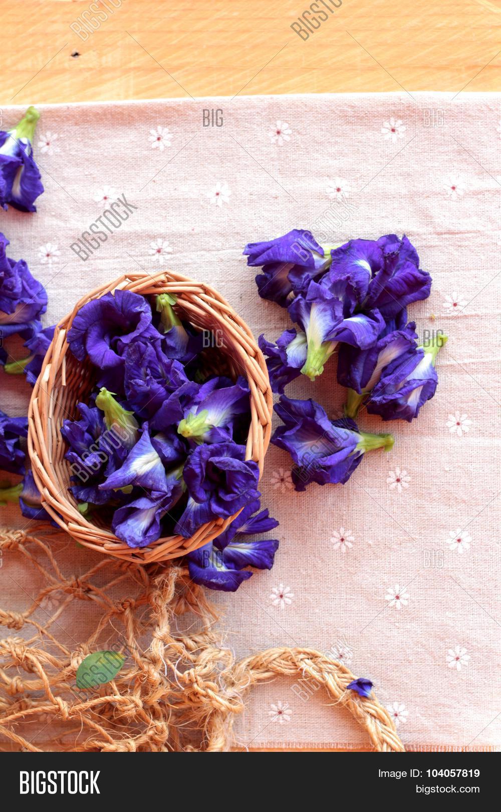Anchan Flowering Water Image & Photo (Free Trial) | Bigstock