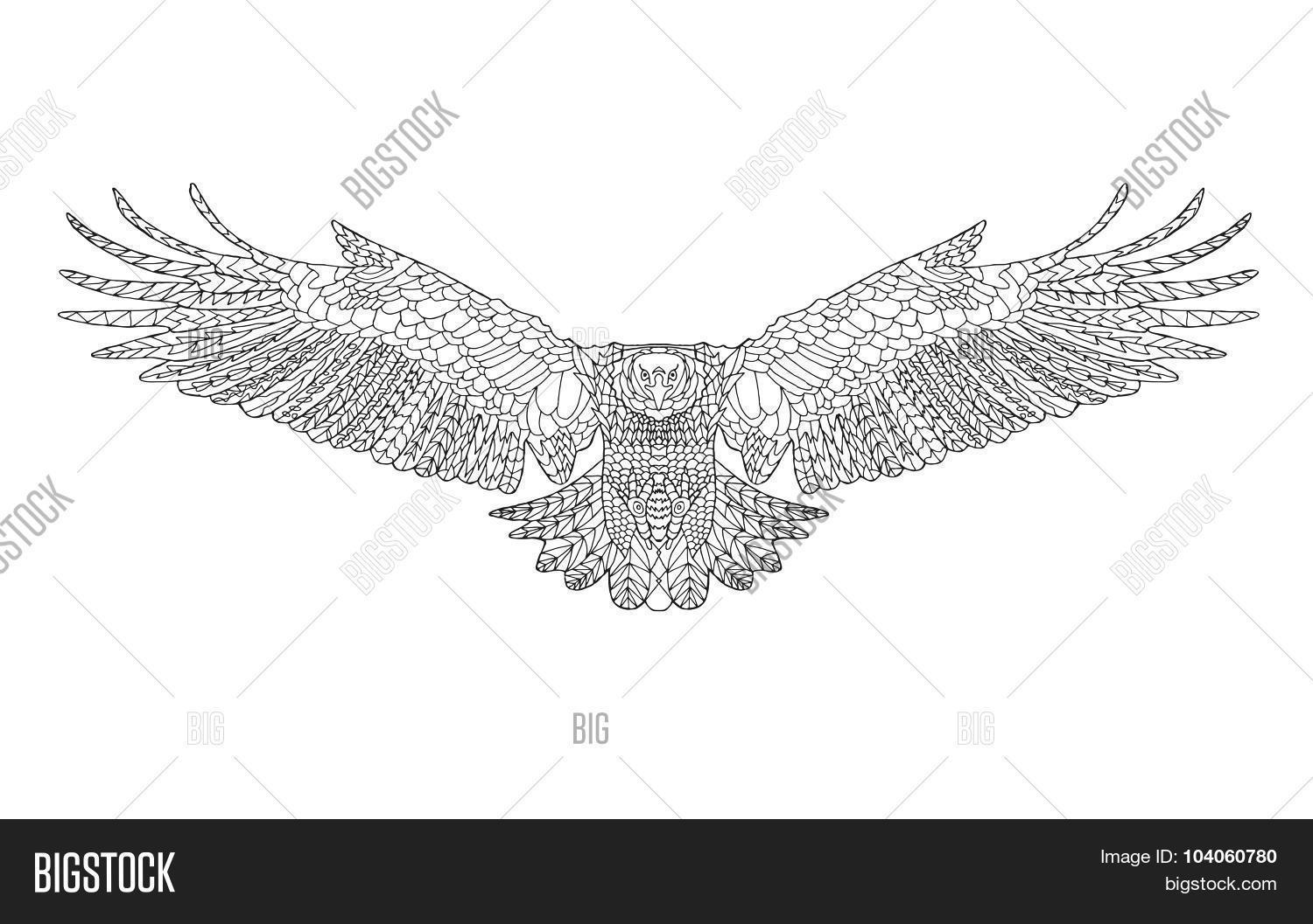 Zentangle Stylized Vector & Photo (Free Trial) | Bigstock