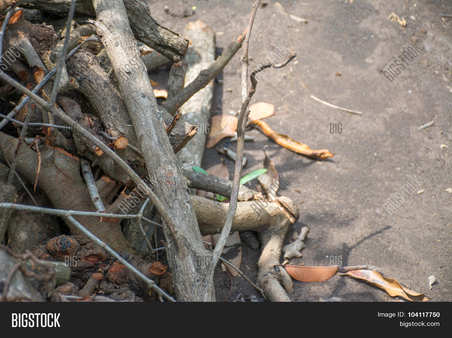 Image Pyre, Woodpile, Image & Photo (Free Trial) | Bigstock