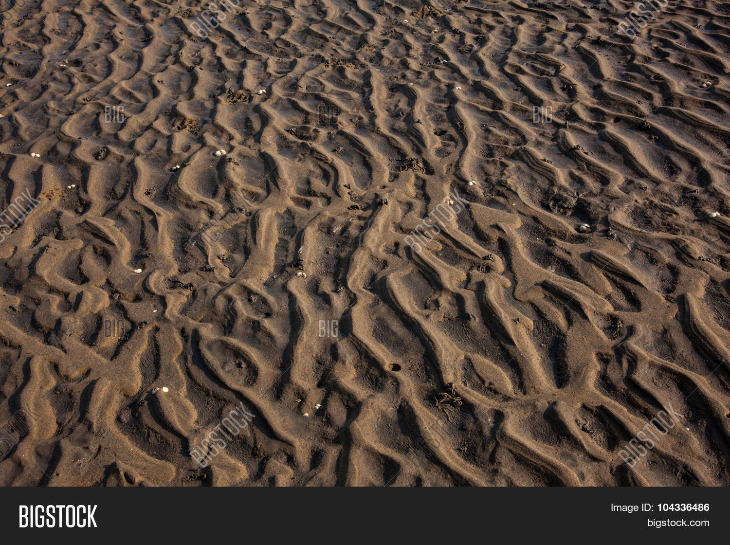 Ripples On Beach Image & Photo (Free Trial) | Bigstock