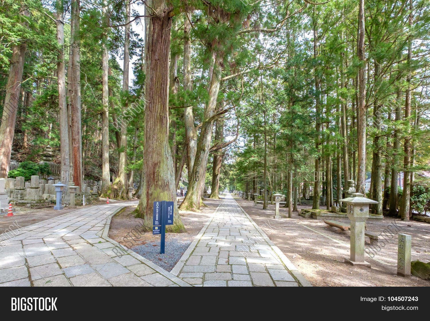 Mount Koya, Japan Image & Photo (Free Trial) | Bigstock