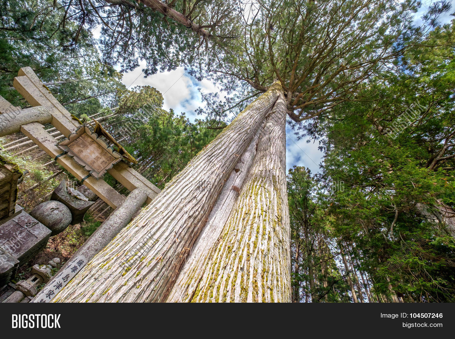 Mount Koya, Japan Image & Photo (Free Trial) | Bigstock
