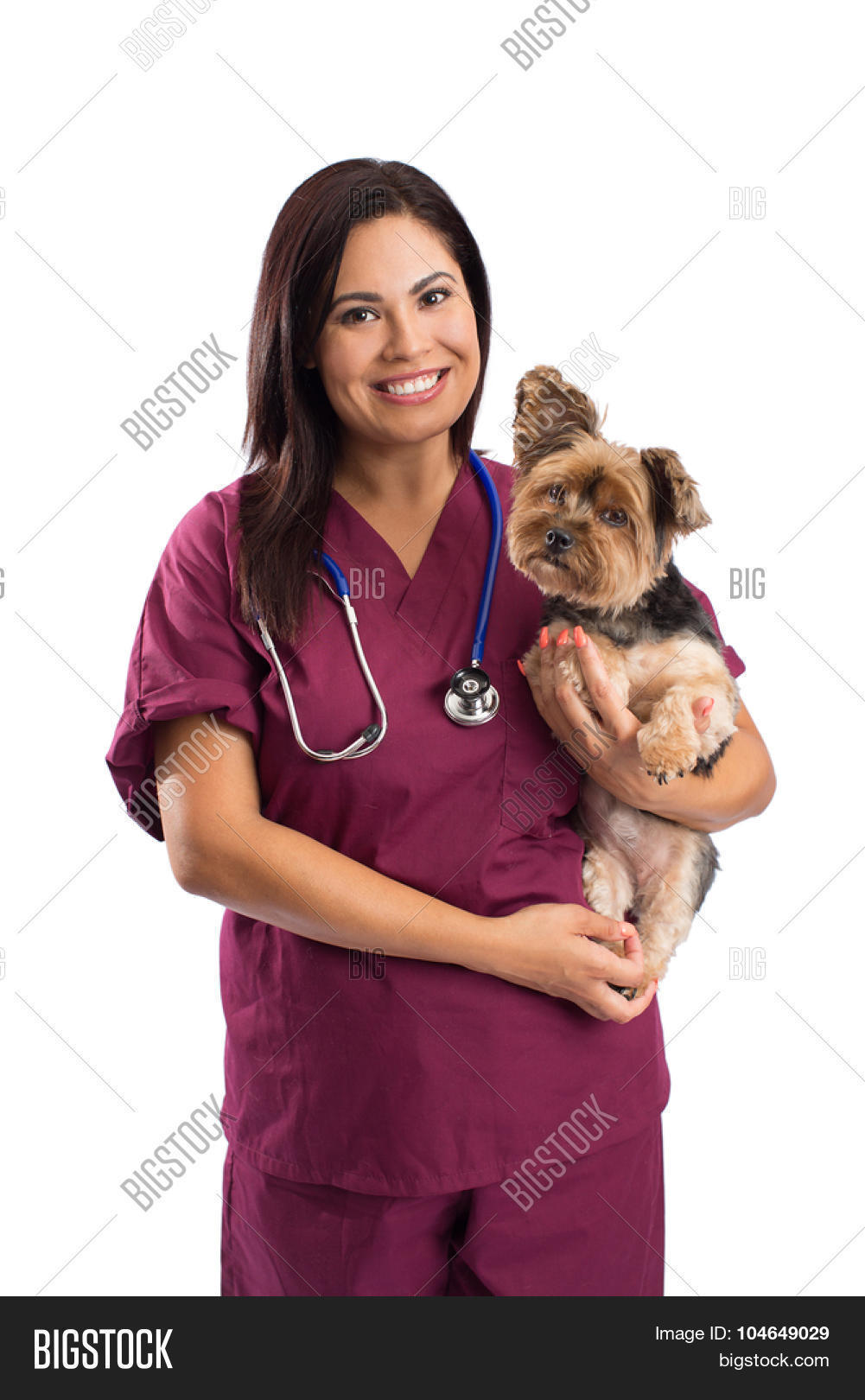Veterinarian Woman Image & Photo (Free Trial) | Bigstock