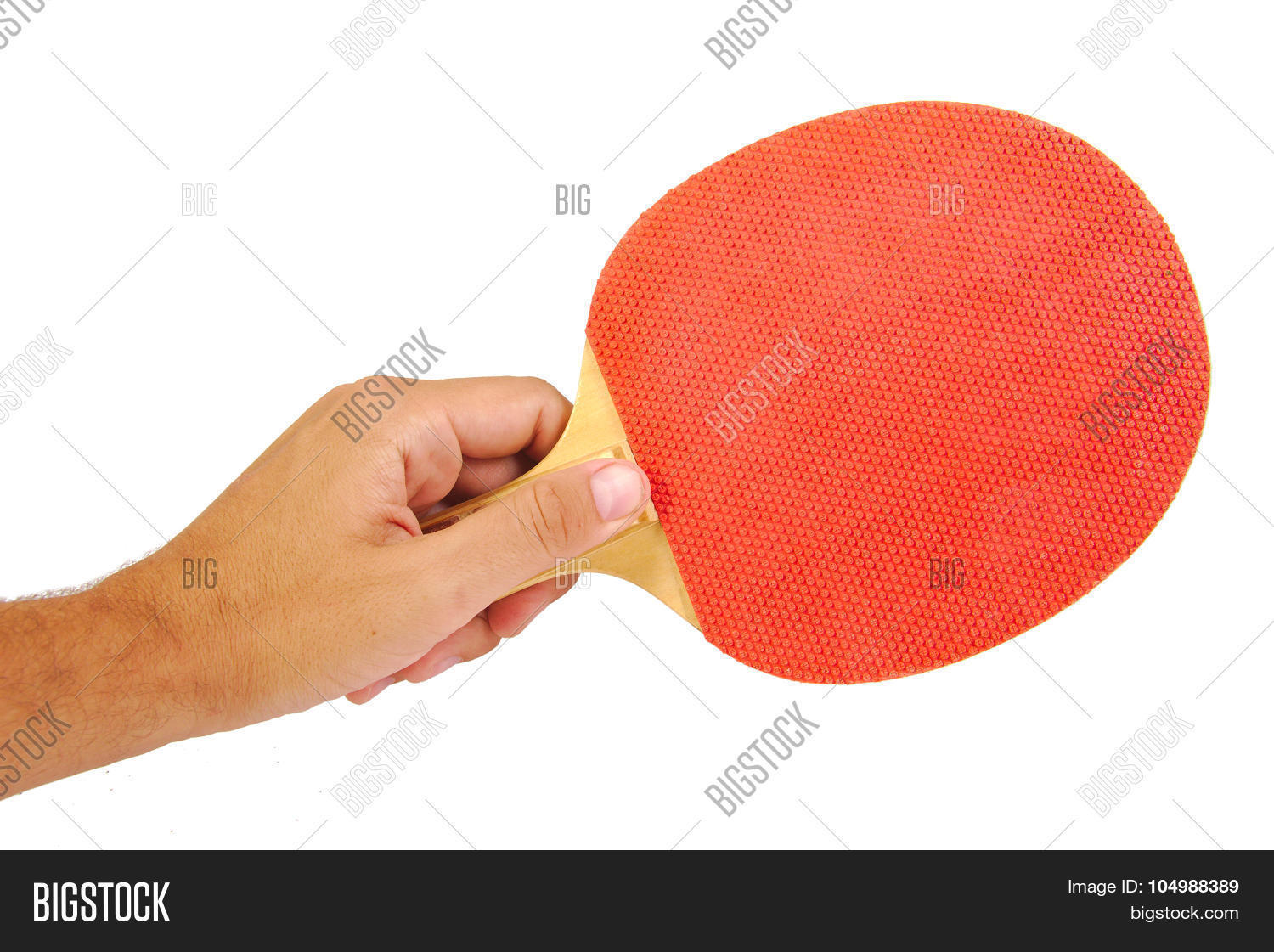 Hand Holding Tennis Image & Photo (Free Trial) | Bigstock