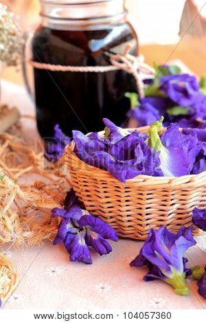 Anchan Flowering Water Image & Photo (Free Trial) | Bigstock