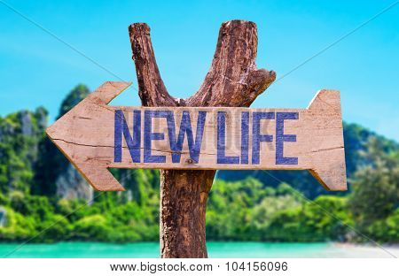New Life Arrow Beach Image & Photo (Free Trial) | Bigstock
