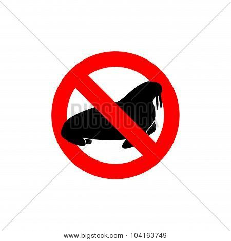 Stop Walrus. Seal Vector & Photo (Free Trial) | Bigstock