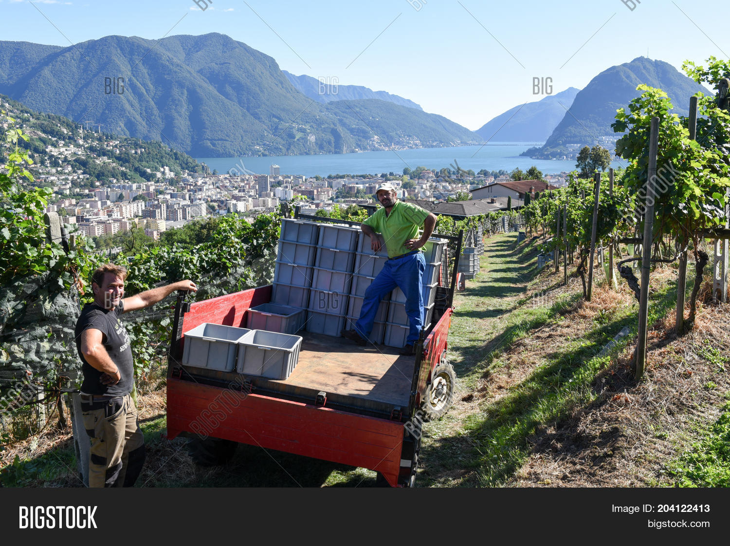 Vineyard Porza Near Image & Photo (Free Trial) | Bigstock