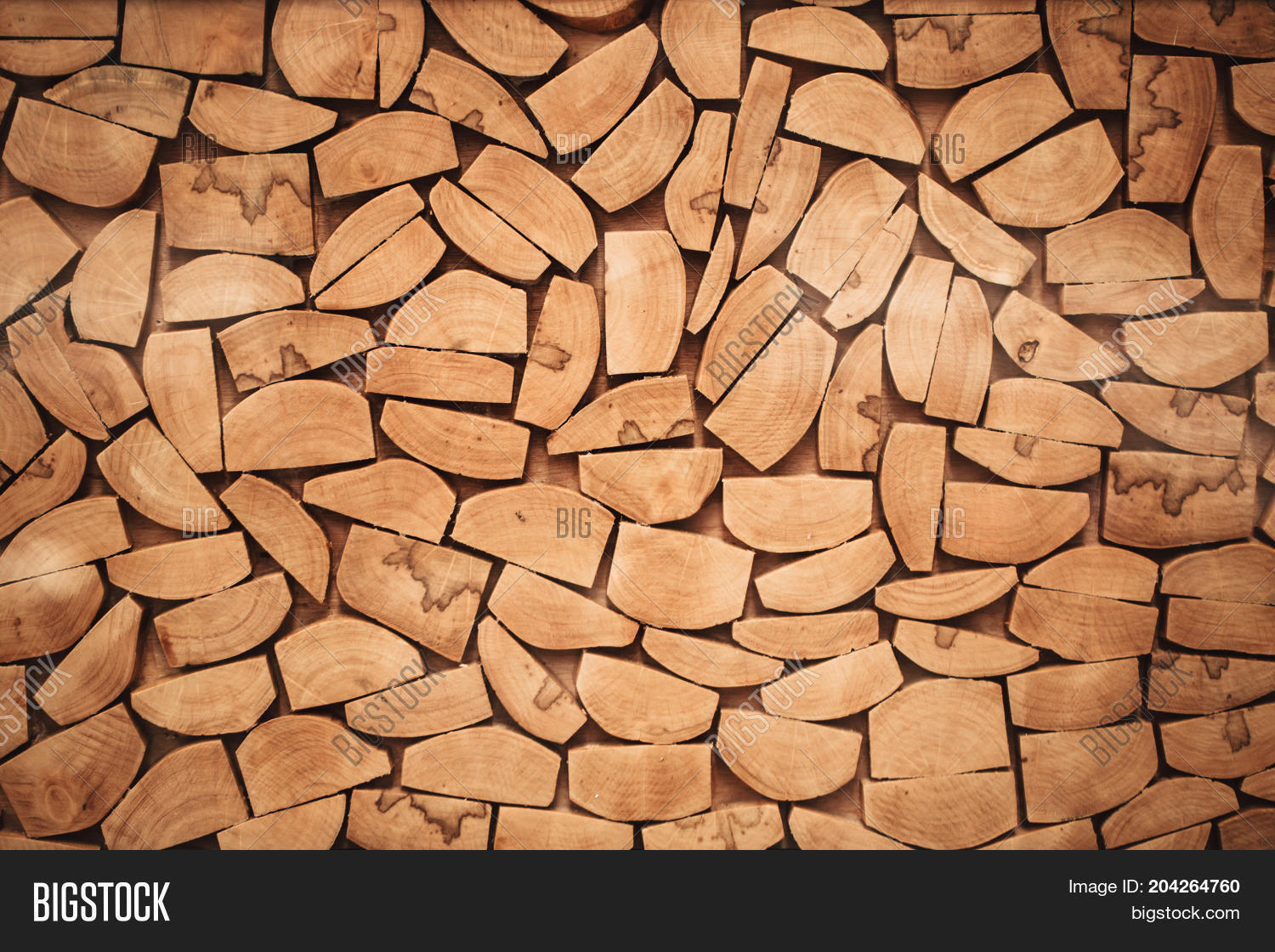 Wooden Log Slice Cut Image & Photo (Free Trial) | Bigstock
