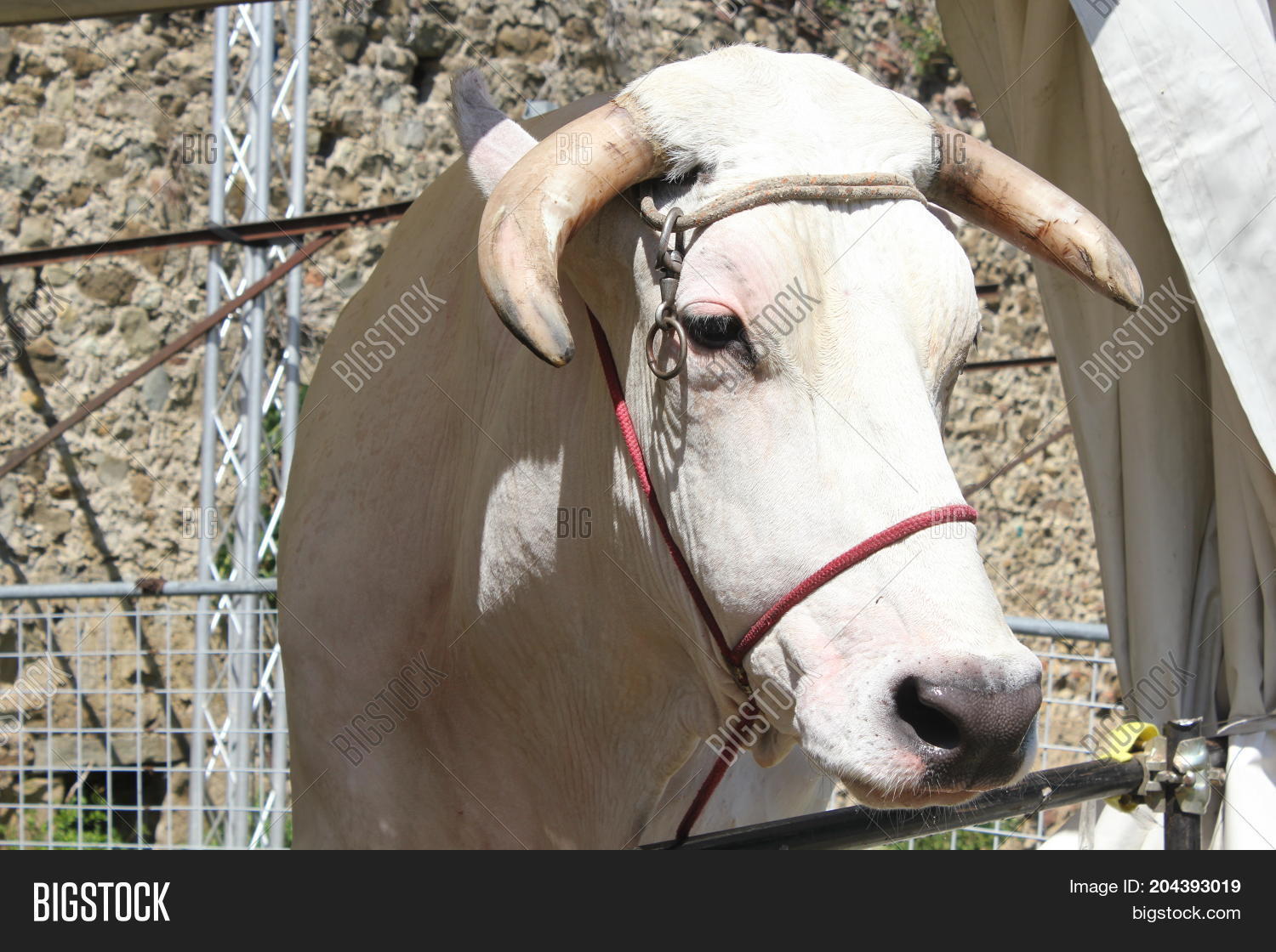 LASTRA SIGNA, ITALY - Image & Photo (Free Trial) | Bigstock