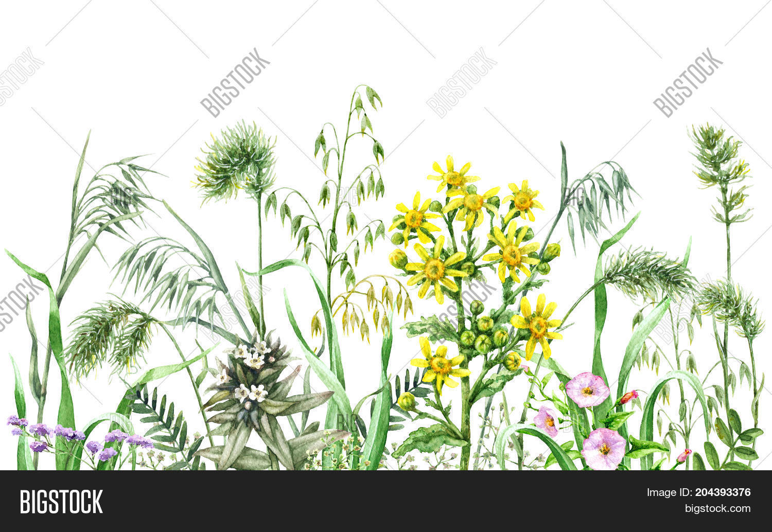 Hand Drawn Wildflowers Image & Photo (Free Trial) | Bigstock