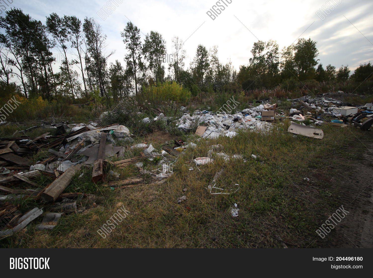 Illegal Dumping Image & Photo (Free Trial) | Bigstock