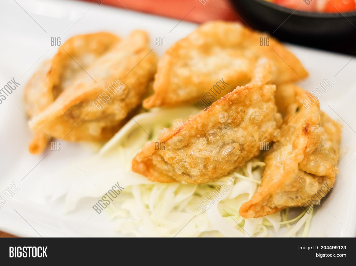 Homemade Gyoza Cabbage Image & Photo (Free Trial) | Bigstock