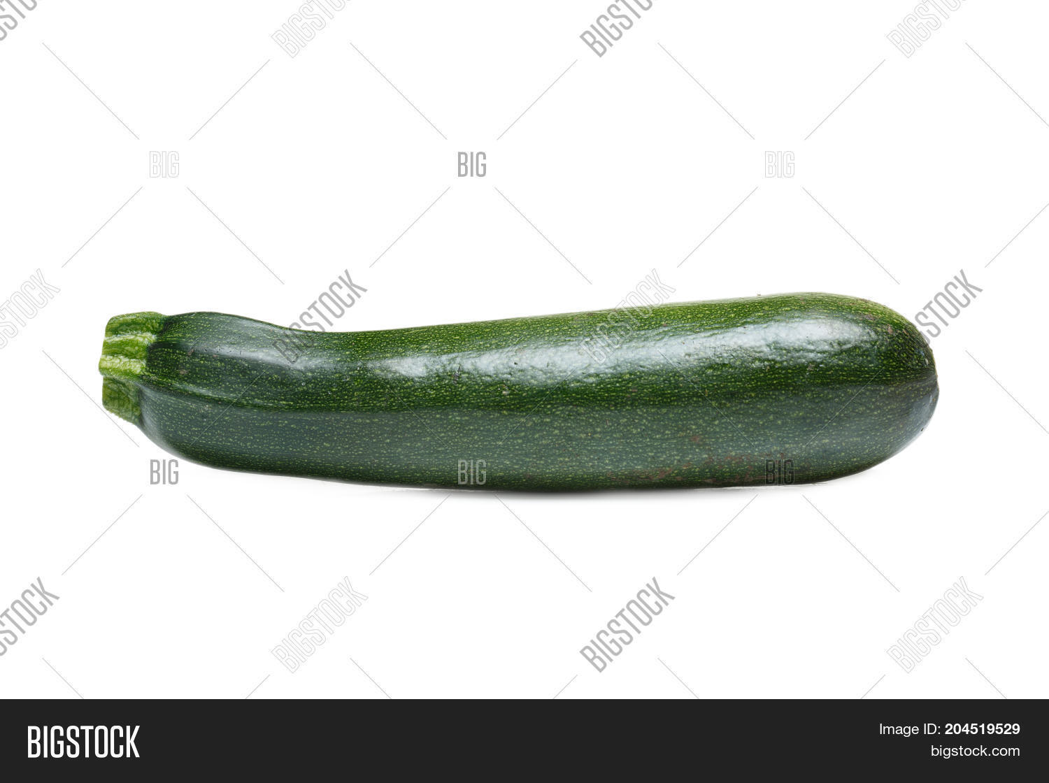 Image Fresh Zucchini Image & Photo (Free Trial) | Bigstock