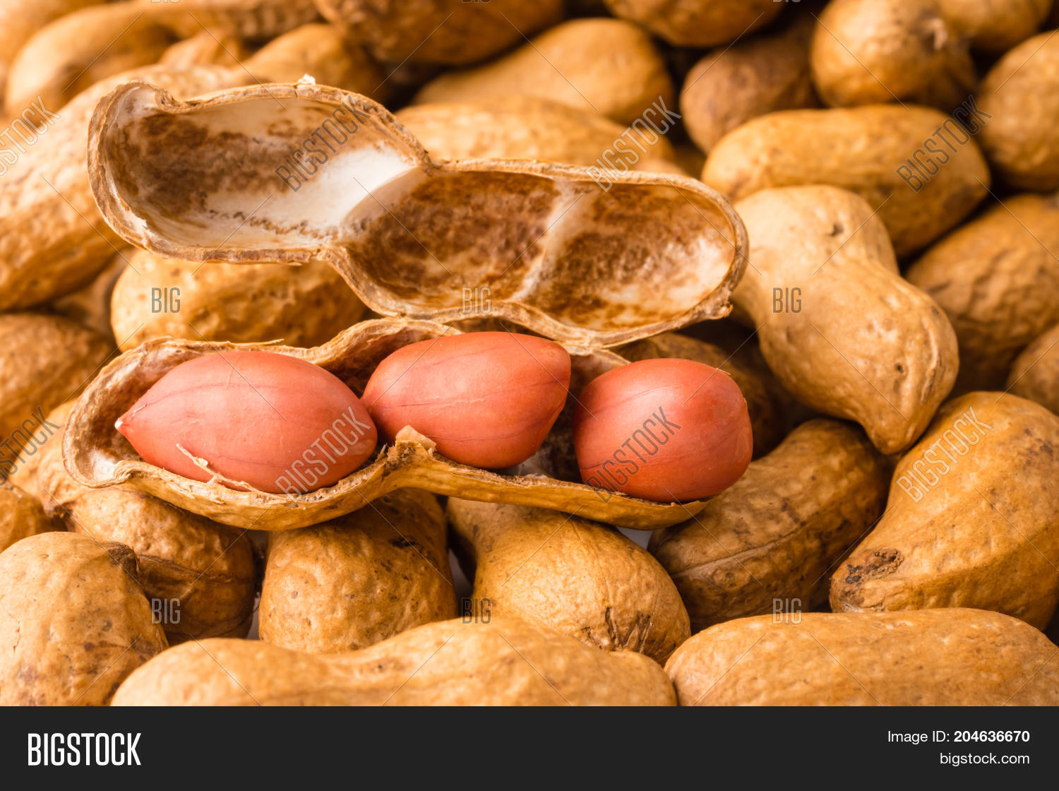 Close Peanuts On Plie Image & Photo (Free Trial) | Bigstock