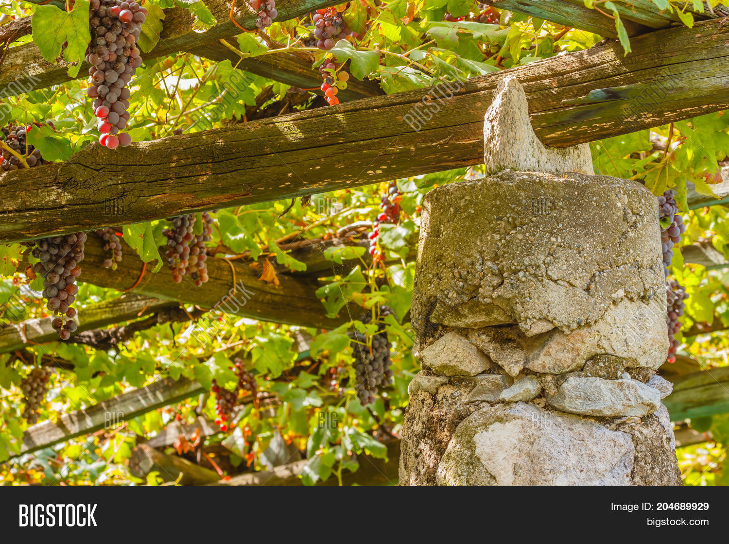 Characteristic Pylon Image & Photo (Free Trial) | Bigstock
