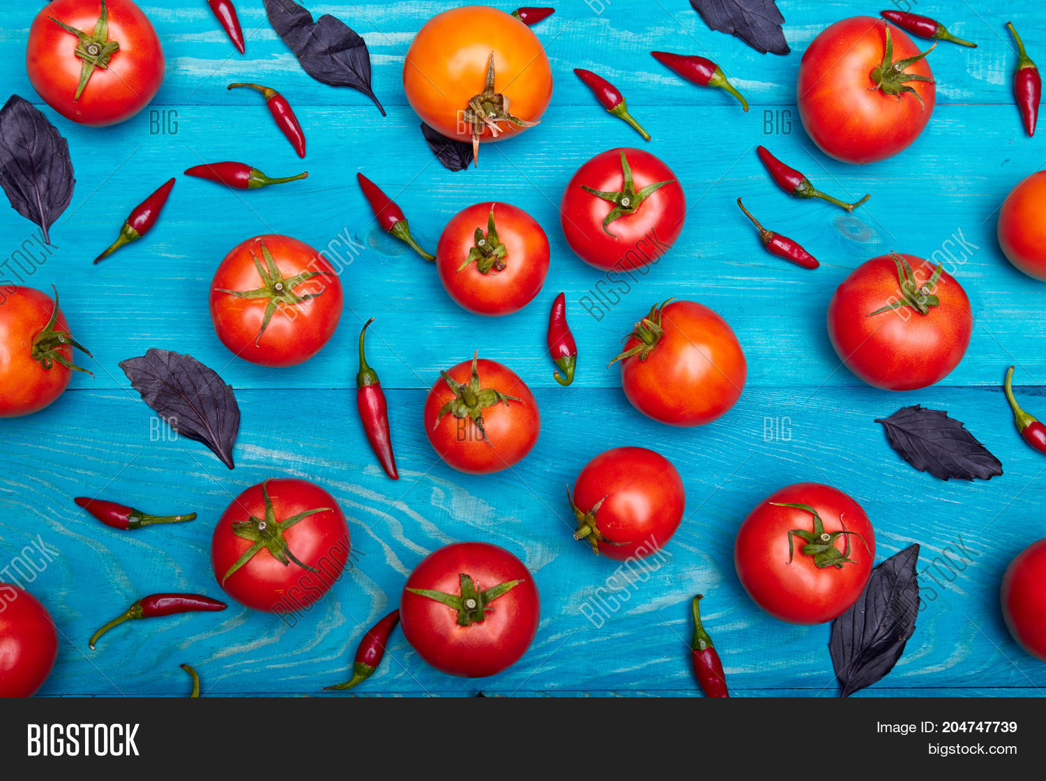 Lunch Layout Colorful Image & Photo (Free Trial) | Bigstock