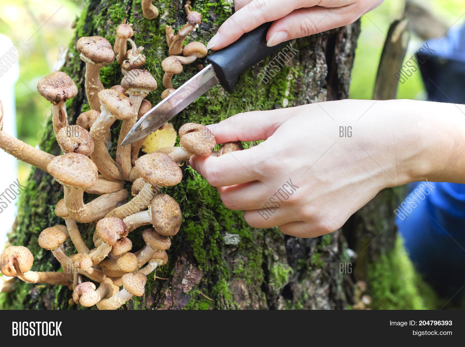 Group Young Buttons Image & Photo (Free Trial) | Bigstock