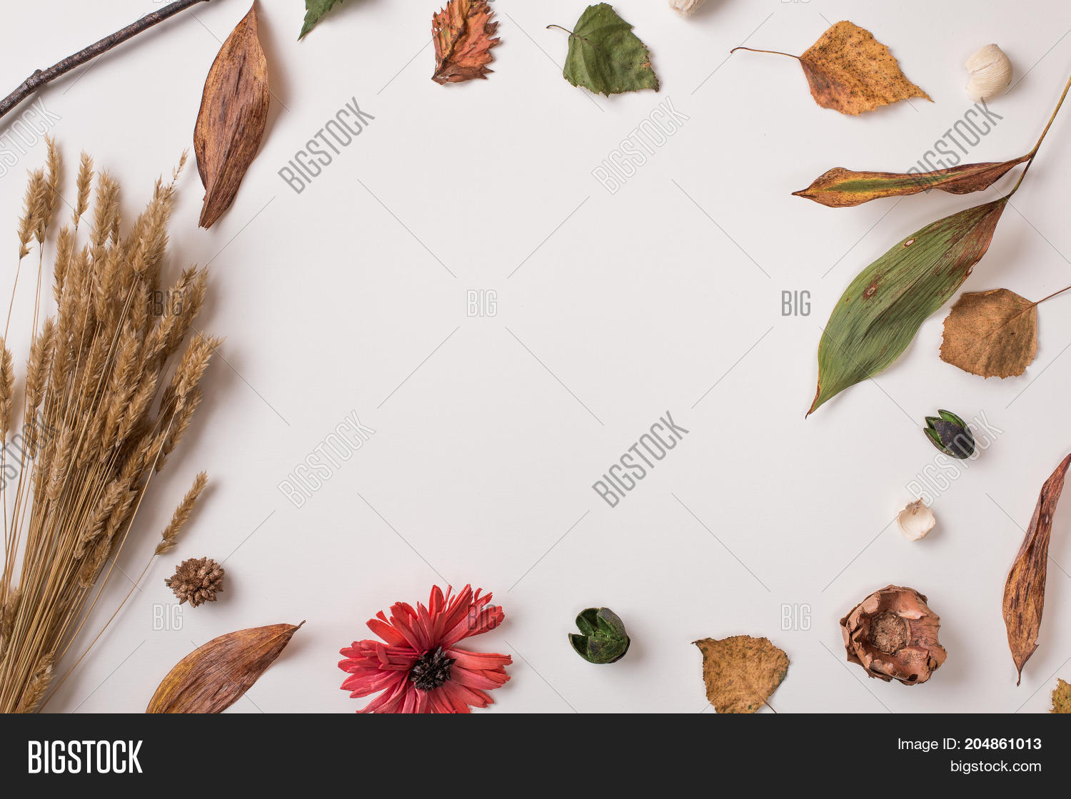 Creative Autumn Image & Photo (Free Trial) | Bigstock