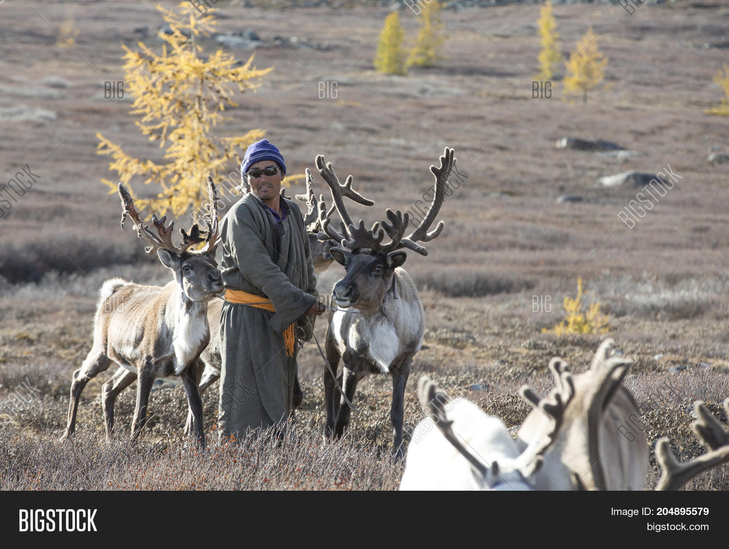 Tsaatan Man Dressed Image & Photo (Free Trial) | Bigstock