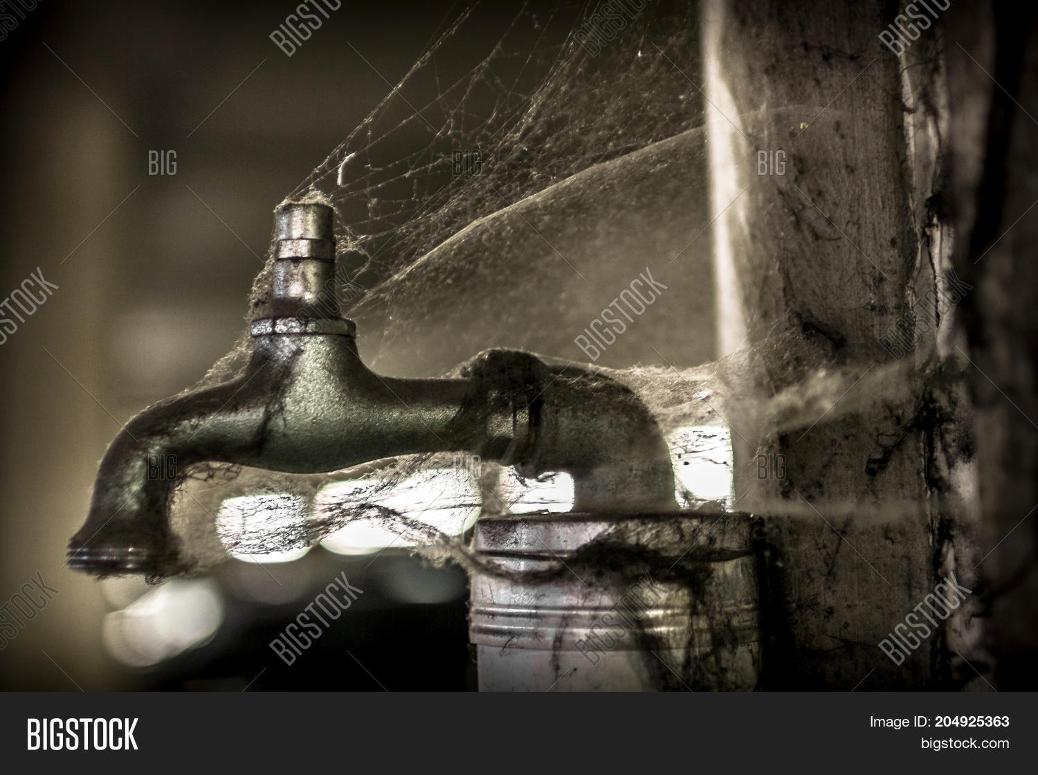 Tap Covered Spider Web Image & Photo (Free Trial) | Bigstock