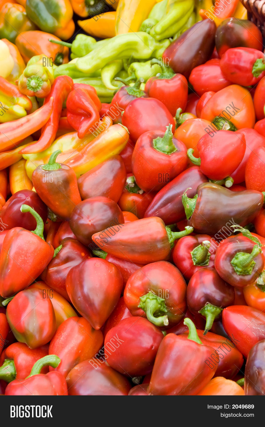 Assortment Peppers Image & Photo (Free Trial) | Bigstock