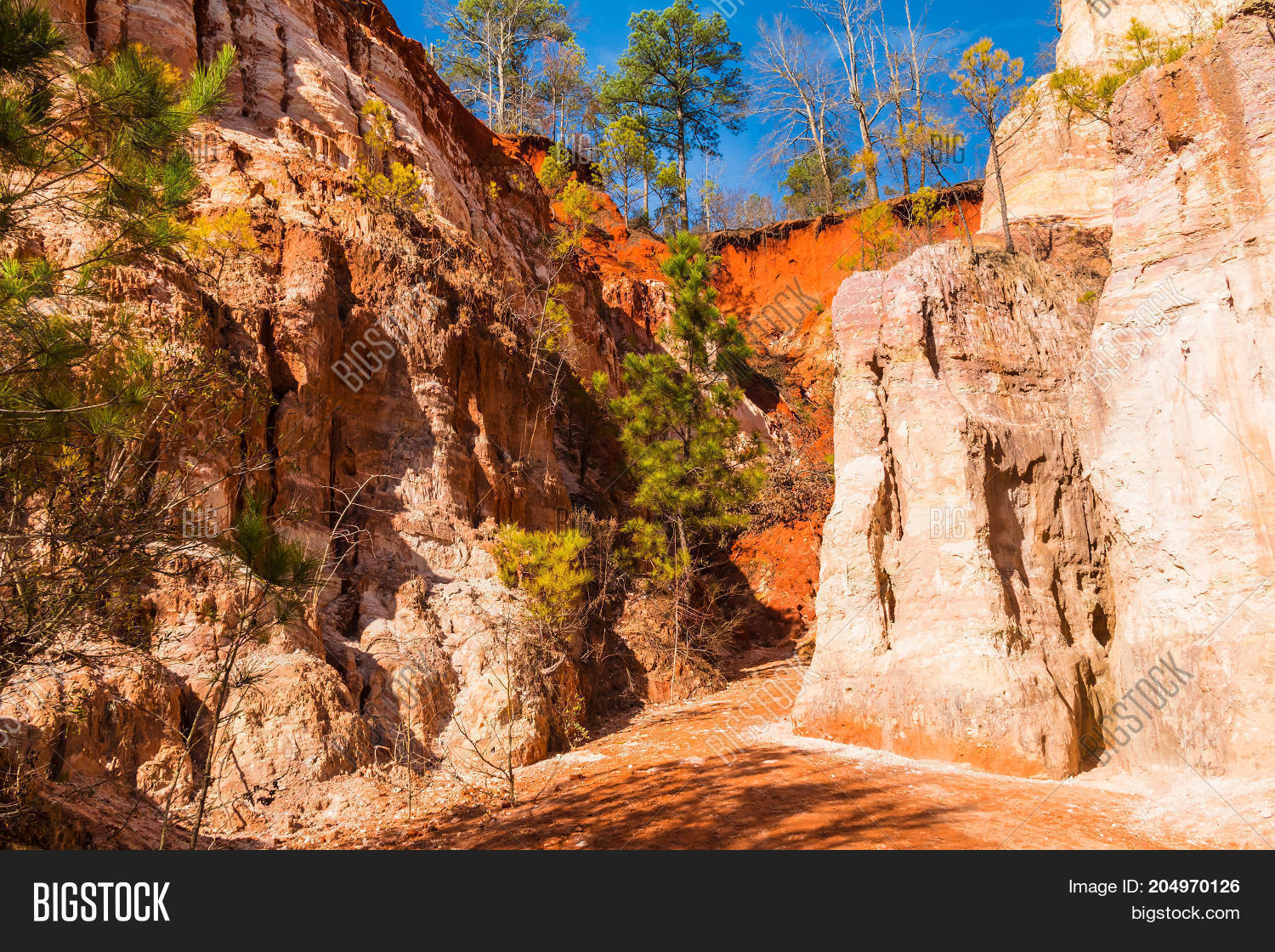 Loamy Red Footpath Image & Photo (Free Trial) | Bigstock