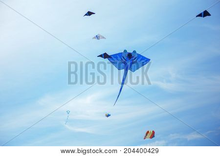 Group Kites Blue Kite Image & Photo (Free Trial) | Bigstock