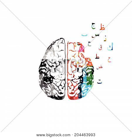 Colorful Human Brain Vector & Photo (Free Trial) | Bigstock