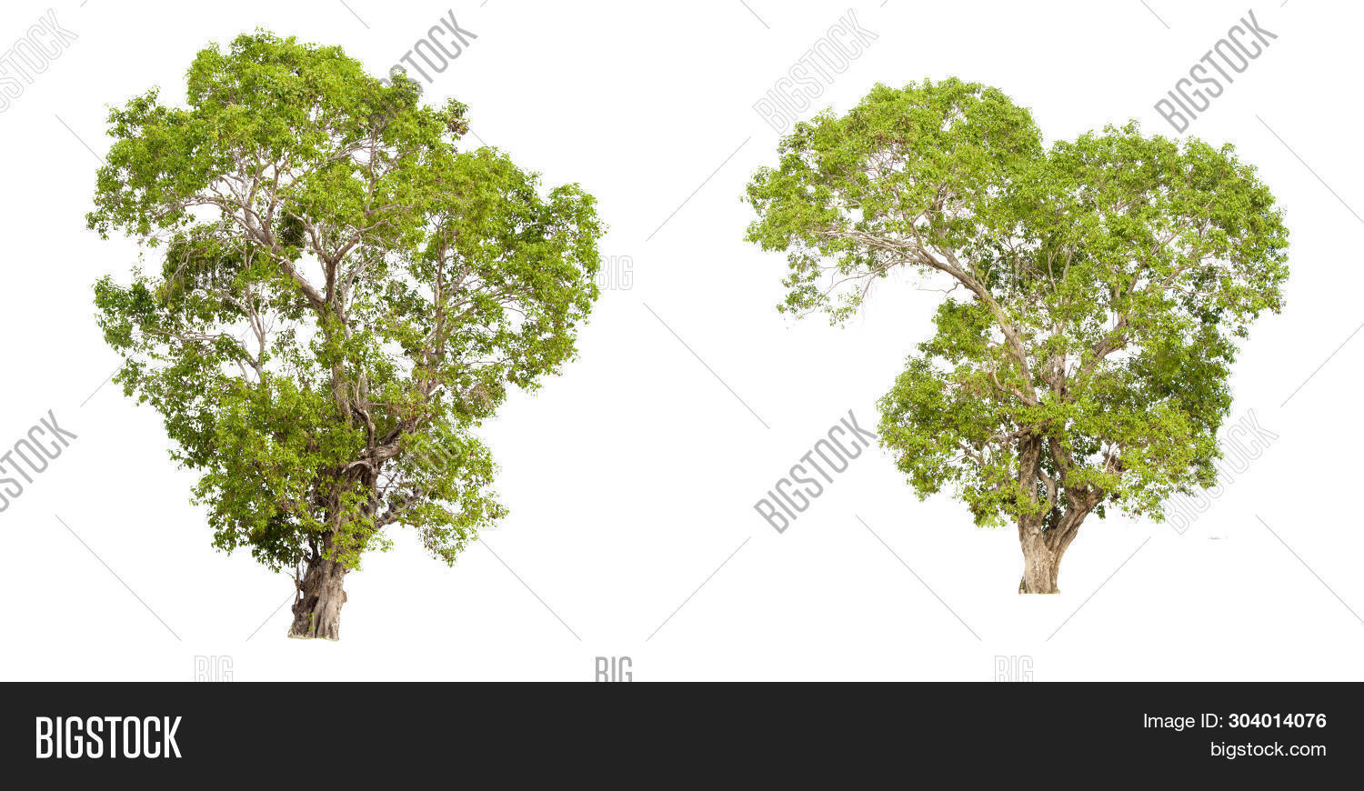 Collection Isolate Image & Photo (Free Trial) | Bigstock