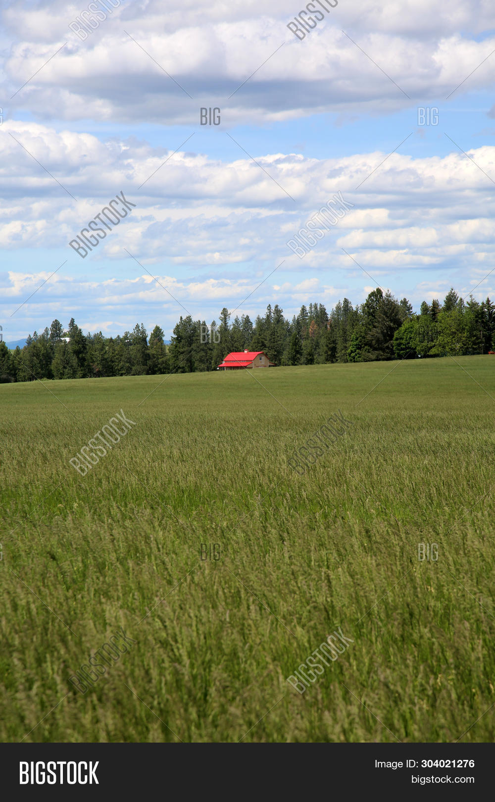 Red Barn Wheat Field. Image & Photo (Free Trial) | Bigstock