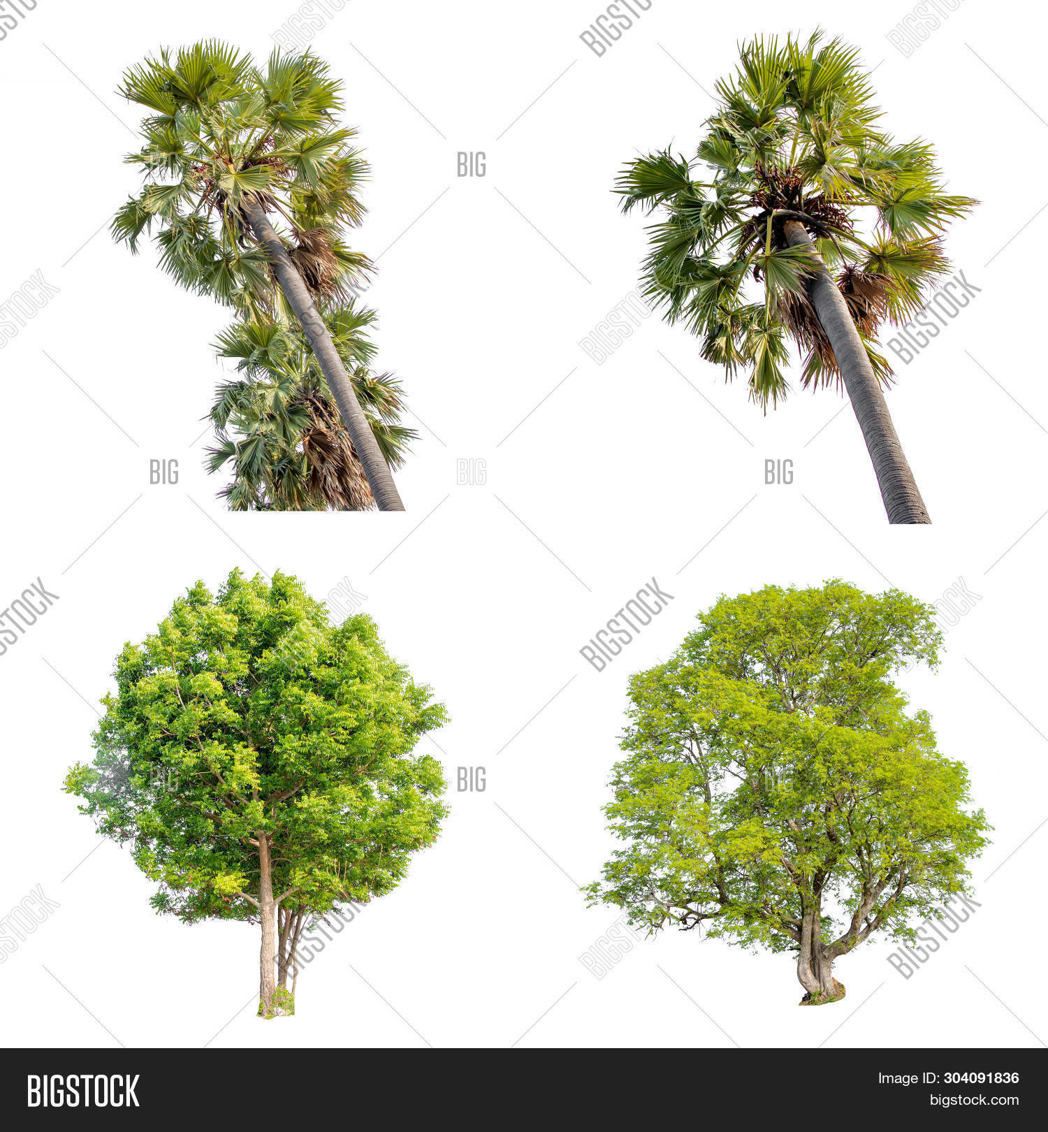 Collection Isolate Image & Photo (Free Trial) | Bigstock