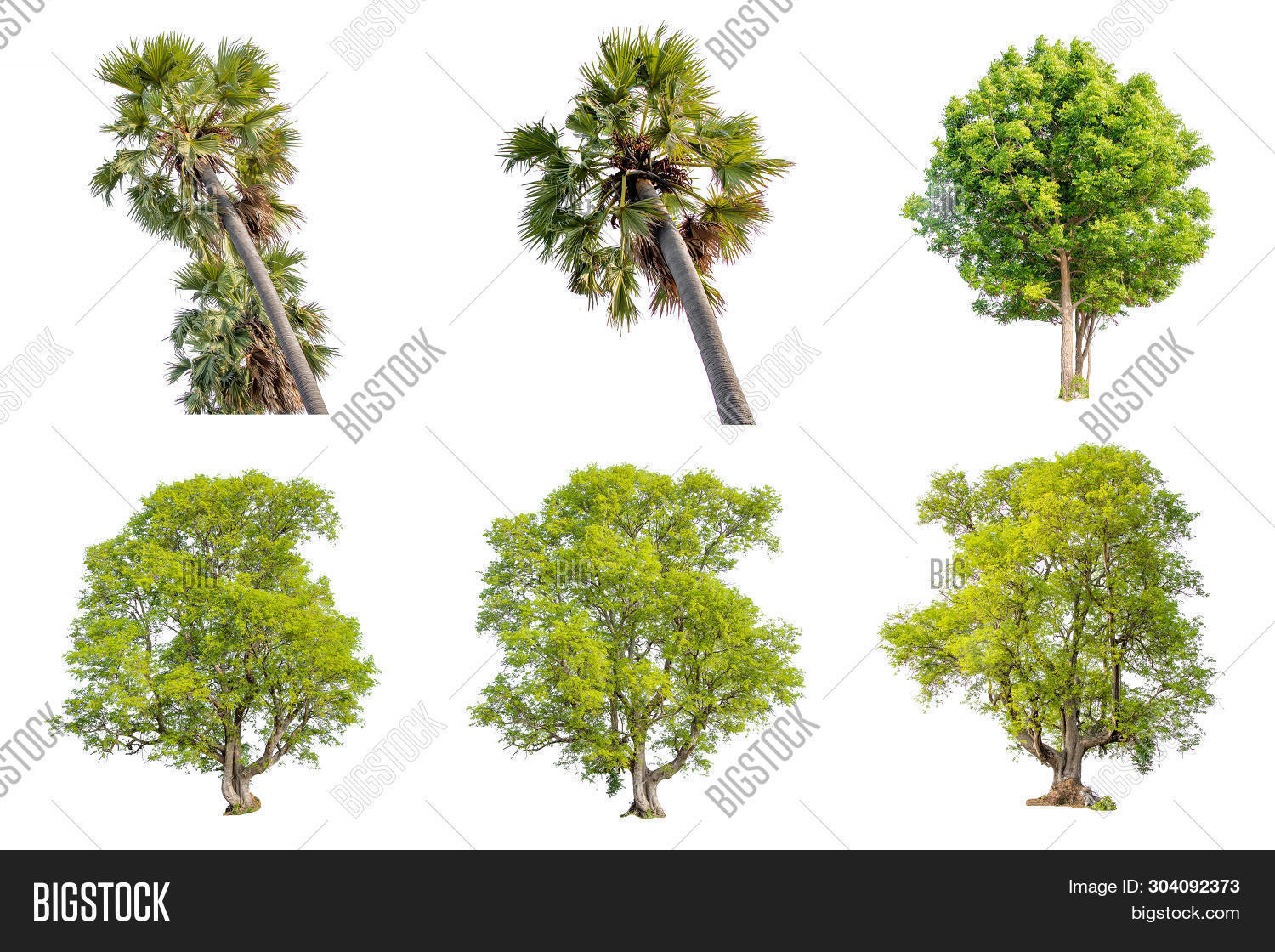 Collection Isolate Image & Photo (Free Trial) | Bigstock