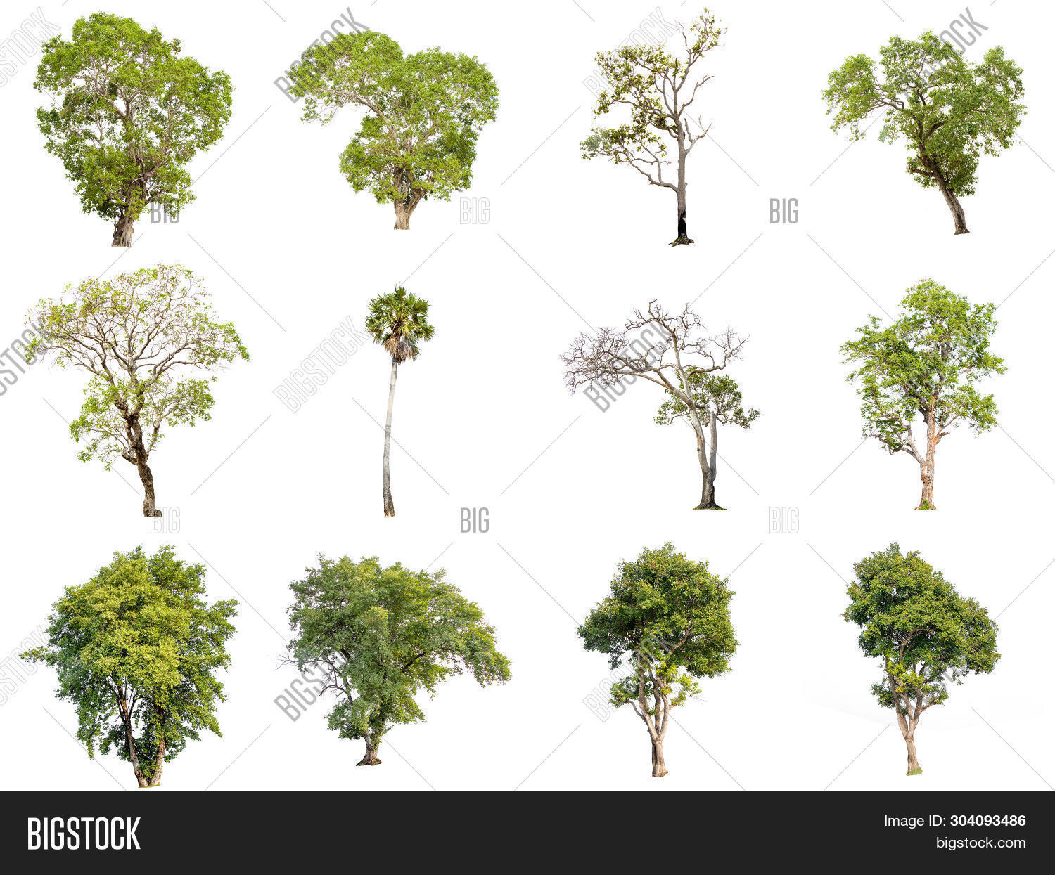 Collection Isolate Image & Photo (Free Trial) | Bigstock