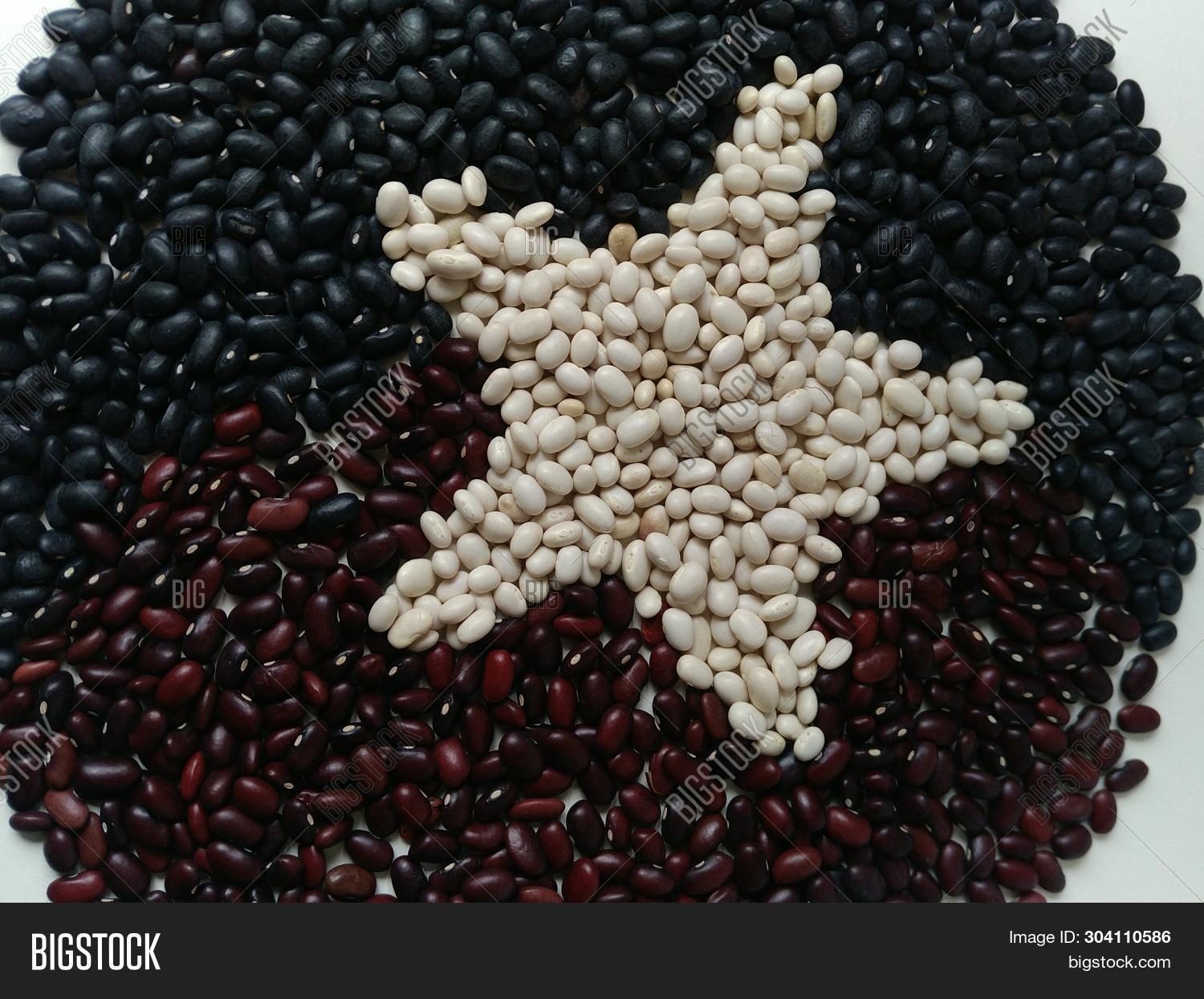 Star White Beans Image & Photo (Free Trial) | Bigstock