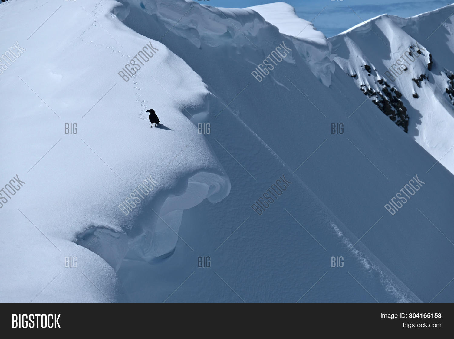 ภาพและภาพถ่าย (ทดลองใช้ฟรี) | Bigstock