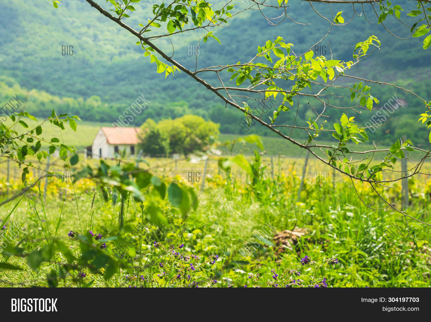 Small House Image & Photo (Free Trial) | Bigstock