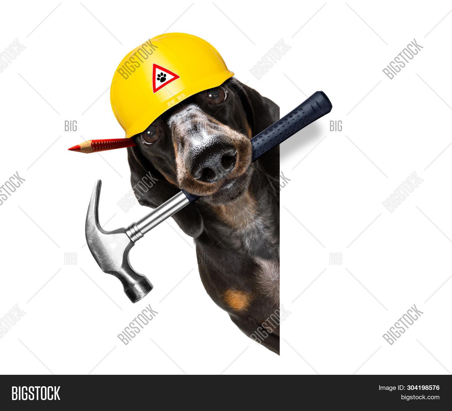 Handyman Sausage Image & Photo (Free Trial) | Bigstock