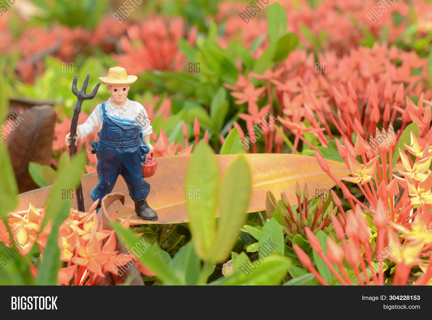 Miniature Agricultural Image & Photo (Free Trial) | Bigstock