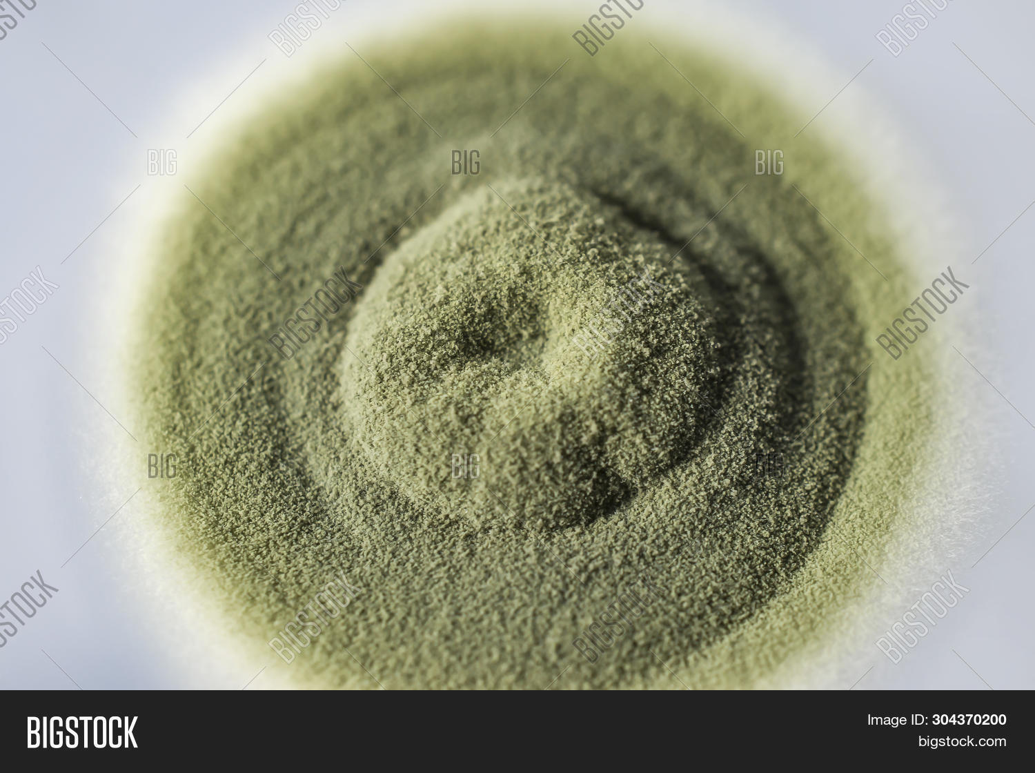 Colony Mold Fungus Image & Photo (Free Trial) | Bigstock