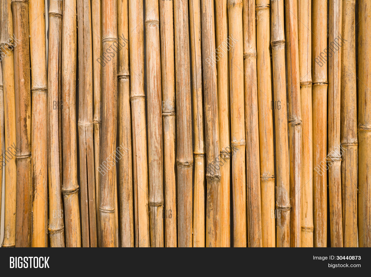 Quality Natural Bamboo Image & Photo (Free Trial) | Bigstock