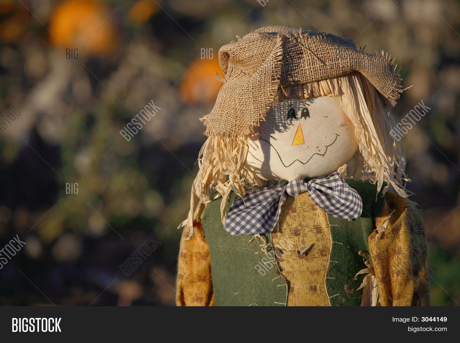 Crazy Scarecrow Face Image & Photo (Free Trial) | Bigstock