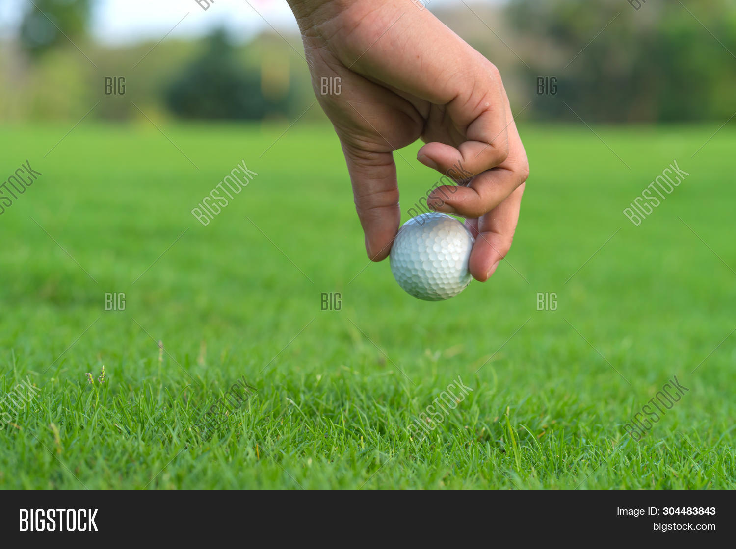 Hand Picking Golf Ball Image & Photo (Free Trial) | Bigstock